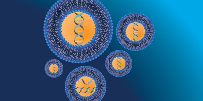 Next-generation nanoparticle delivery | Drug Discovery News