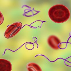 A new compound targets bacteria hiding in biofilms | Drug Discovery News