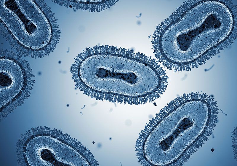 Understanding Monkeypox | Drug Discovery News