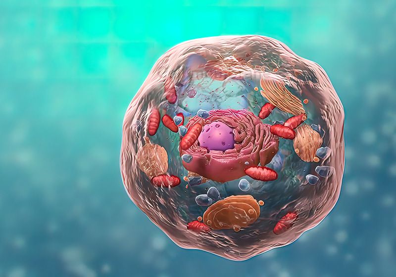 Ultracentrifuges: Spinning Up Discovery | Drug Discovery News