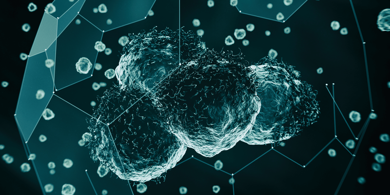 Unraveling the Tumor Microenvironment with Single Cell Analysis | Drug ...