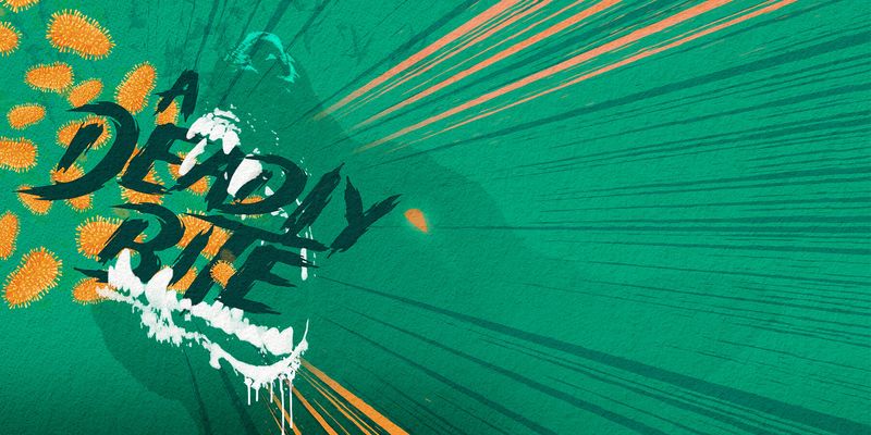 Better rabies treatments bite back | Drug Discovery News