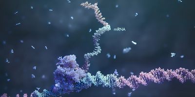 Gene Editing: DNA versus RNA | Drug Discovery News