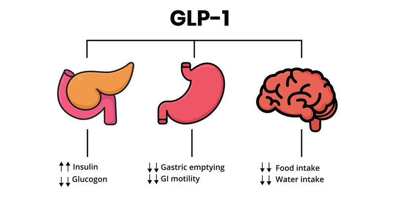 Targeting nutrient signaling in the gut to tackle metabolic disease ...