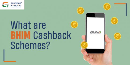 What are BHIM Cashback Schemes | BHIM Incentive Scheme