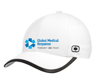 GMR Therapy Dog Team