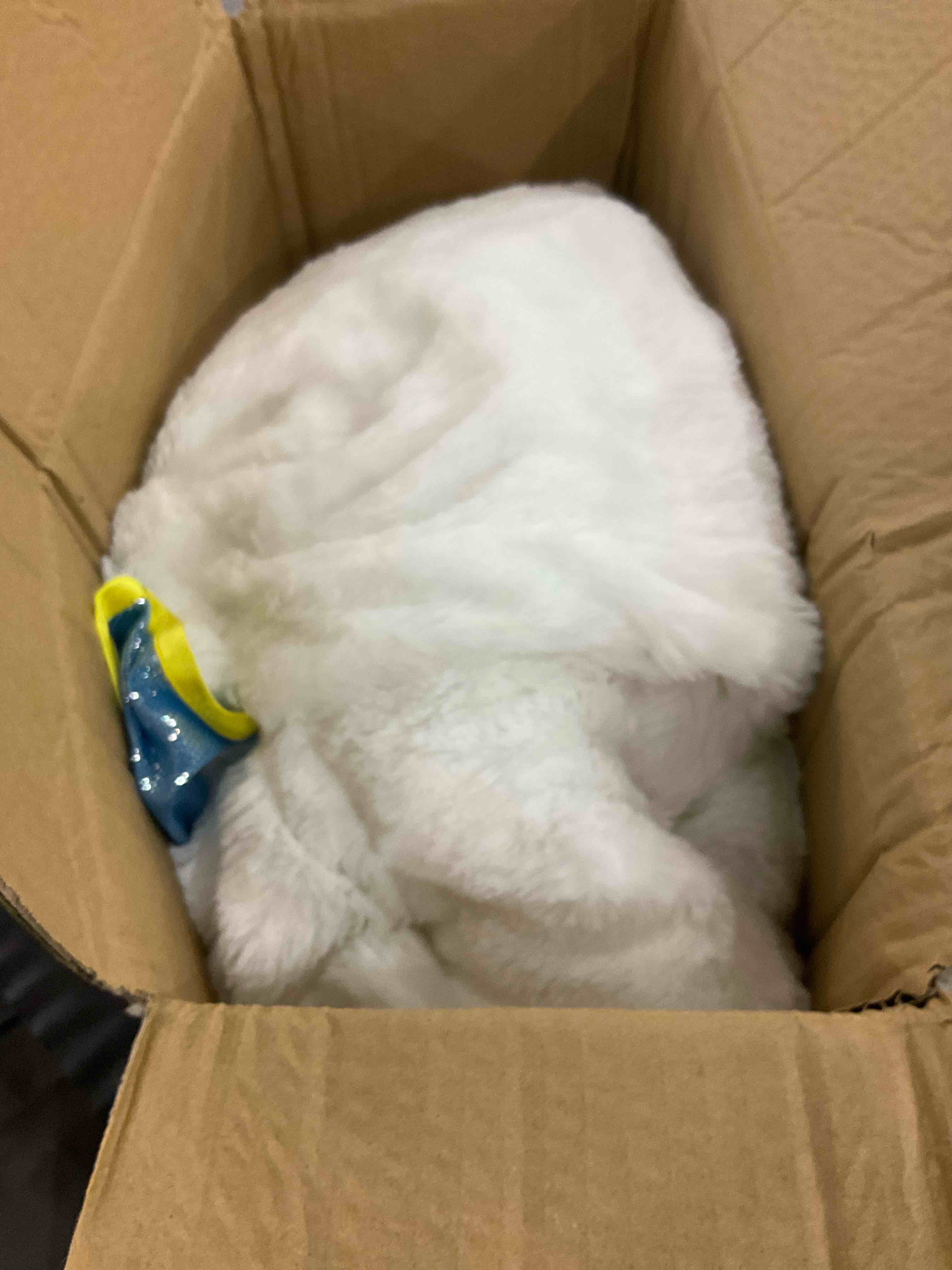 Morph - Easter Bunny Costume Adult - Easter Bunny Costume - Bunny ...