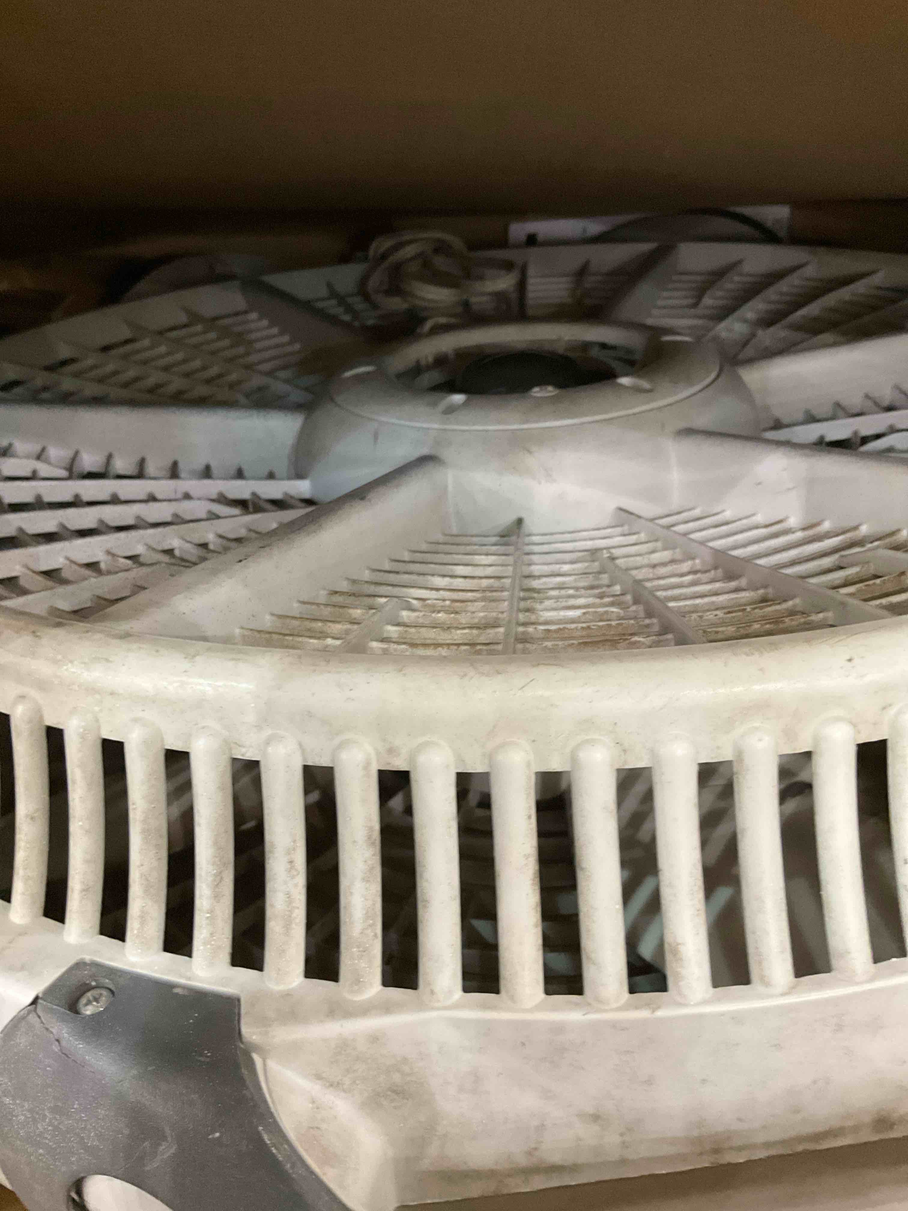 Lasko Wind Machine Air Circulator Floor Fan, 3 Speeds, Pivoting Head ...