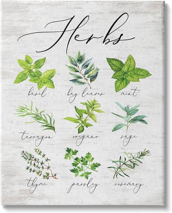 Herbs by Lettered & Lined - Graphic Art on Canvas