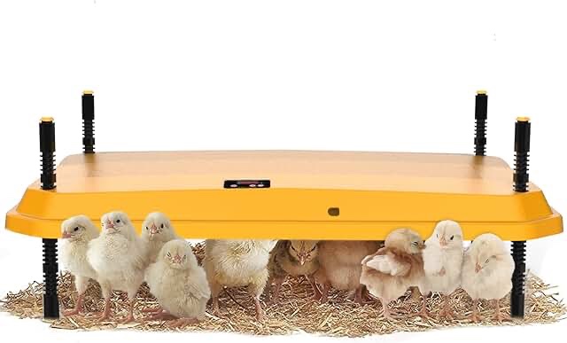 HOWUXZO 16”x24” Chick Brooder Heating Pad with Temperature Display