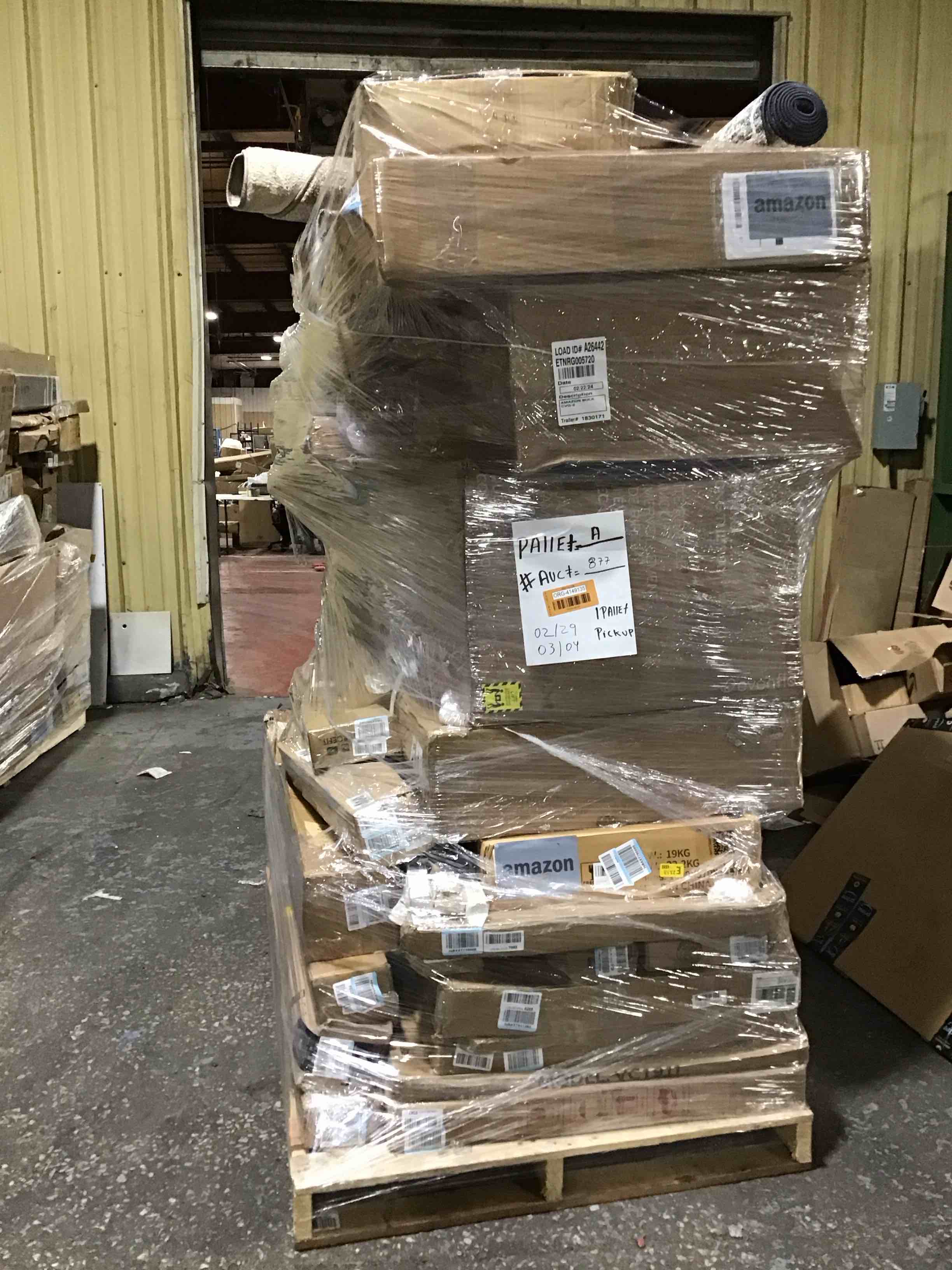 (A) 1skd pallet itms different boxes sur prise ( Appears new or open ...