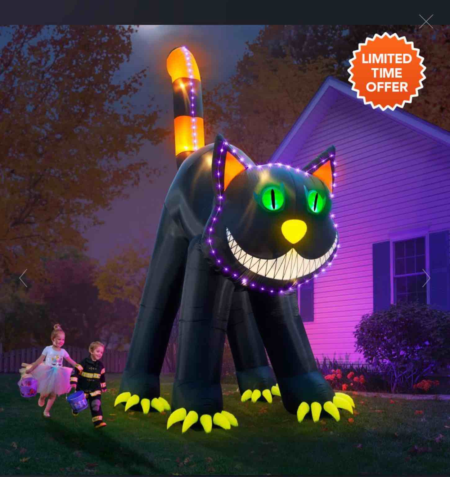 The 17' Blinking Black Cat