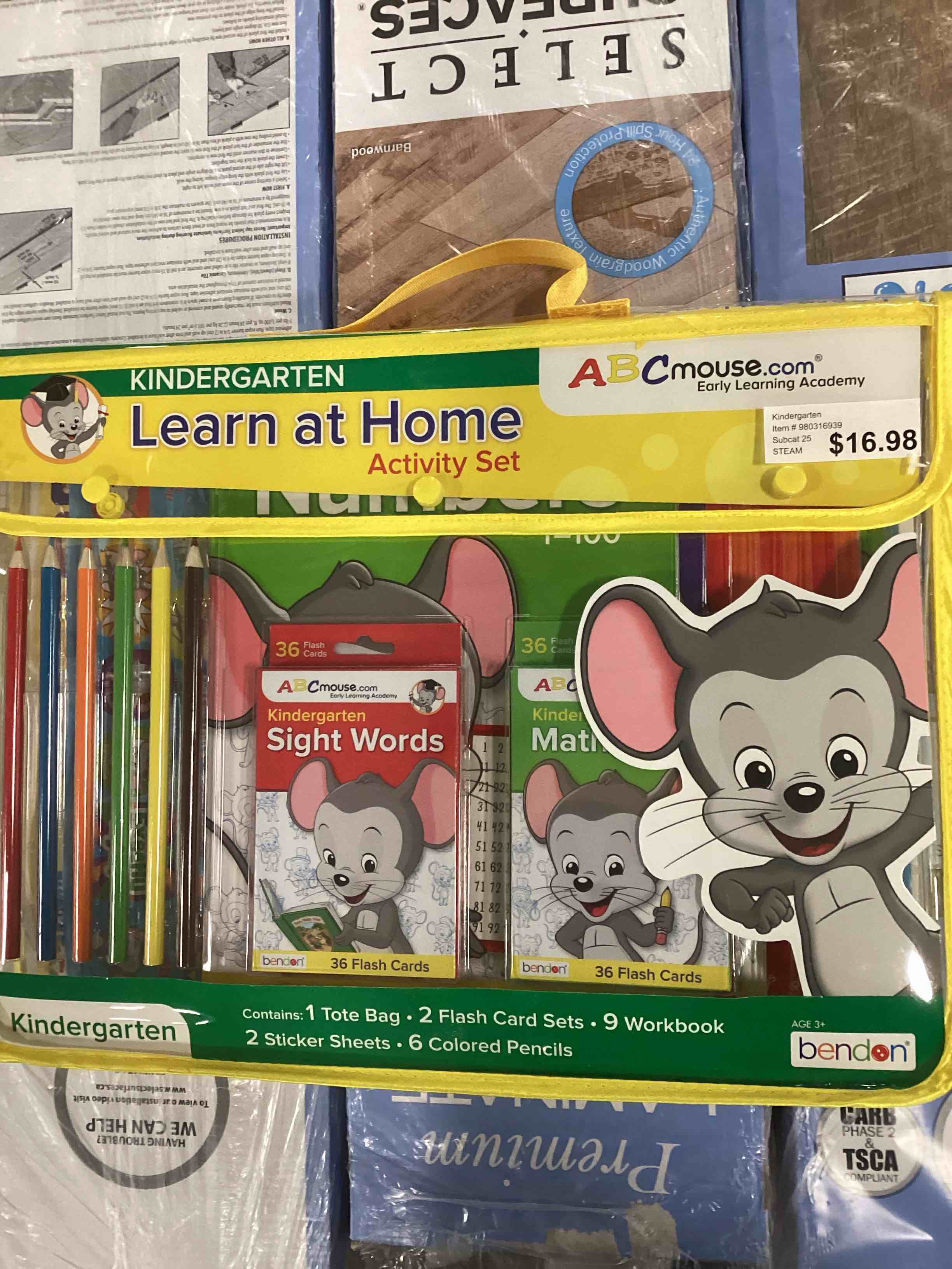 ABCMouse Kindergarten Learn At Home Activity Set