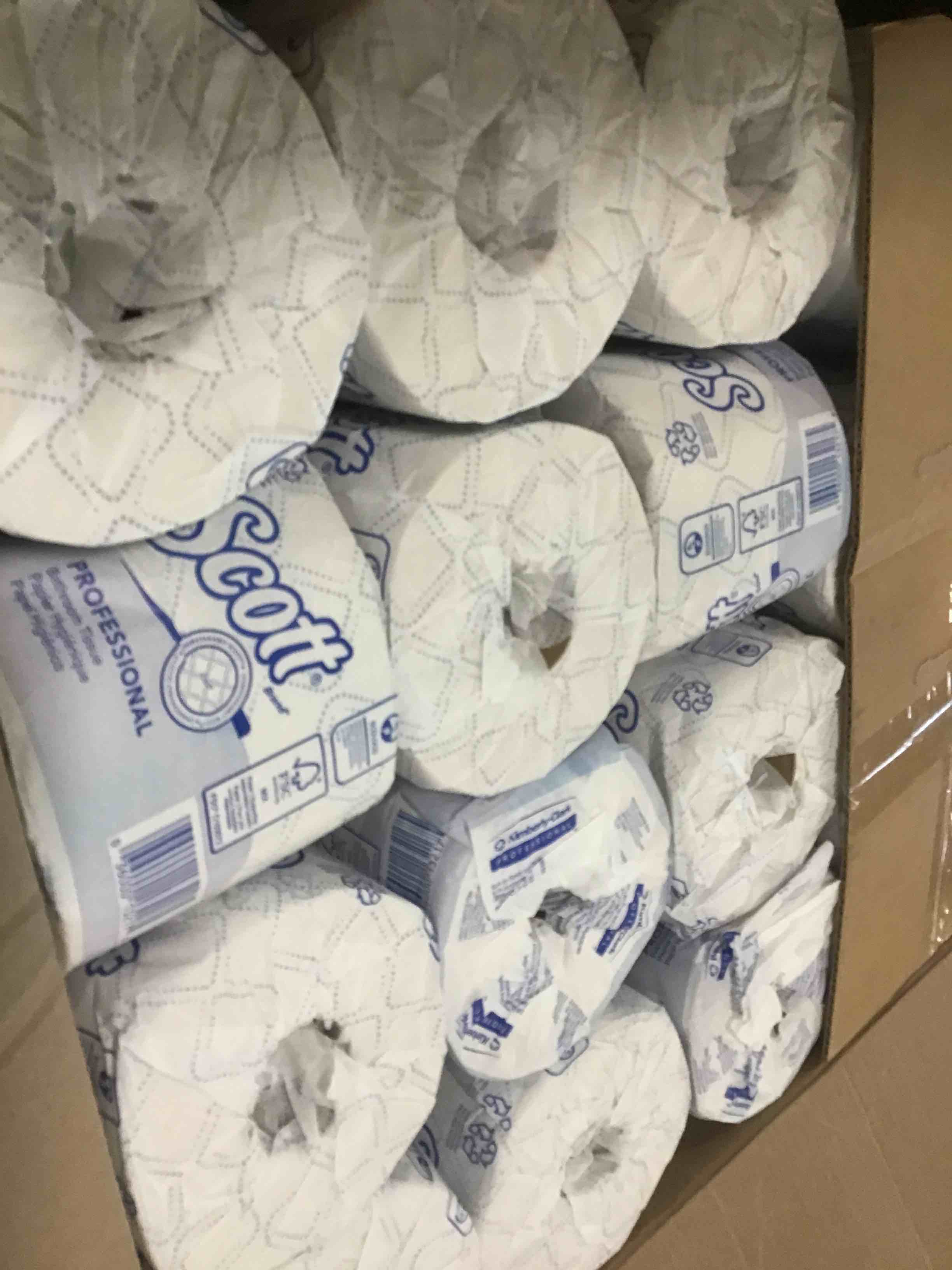Scott Essential Professional 100% Recycled Fiber Bulk Toilet Paper for ...