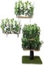 On2 Pets Cat Tree with Leaves Made in USA, Medium Cat Condo & Cat ...