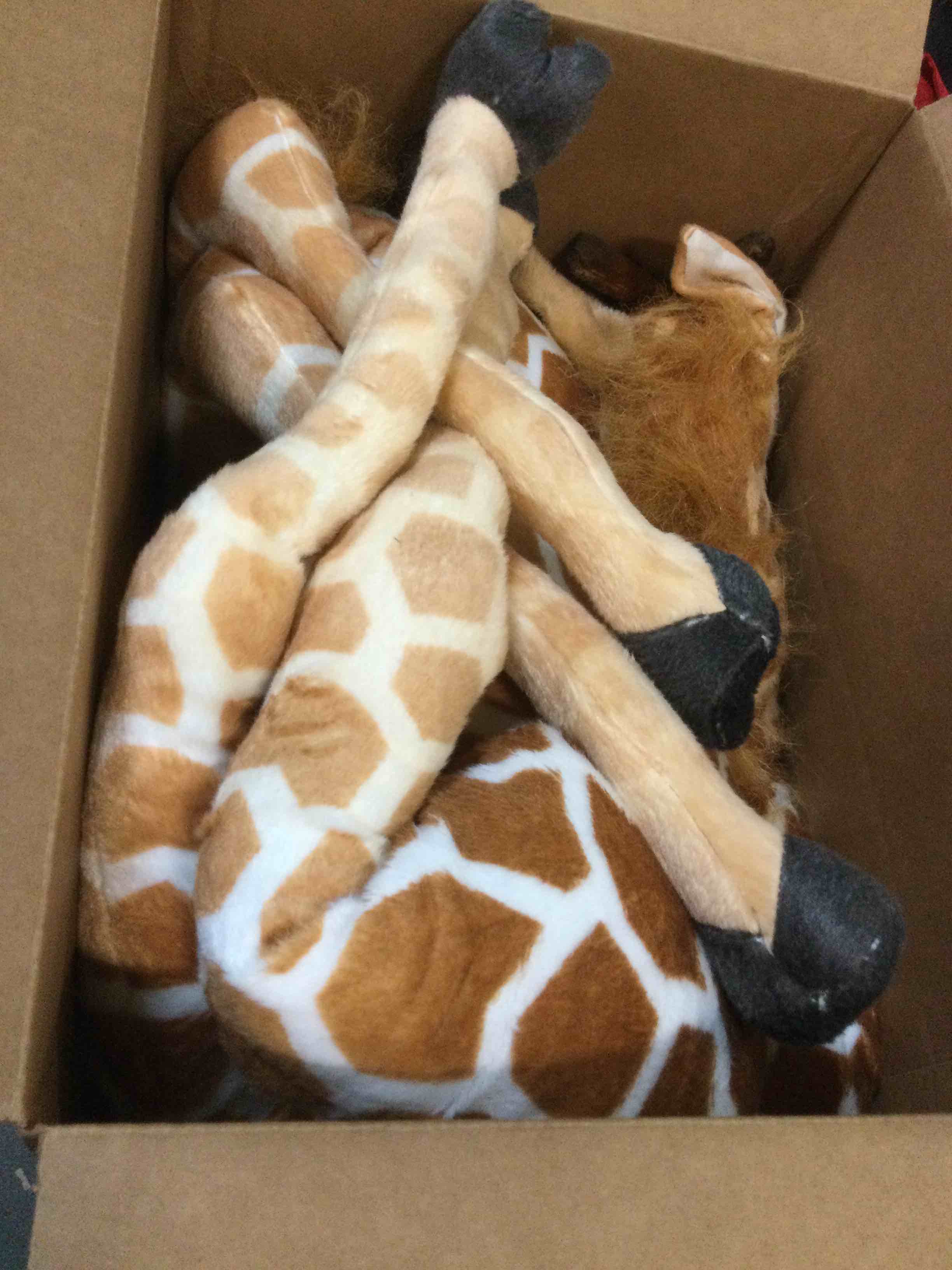 Stuffed giraffe