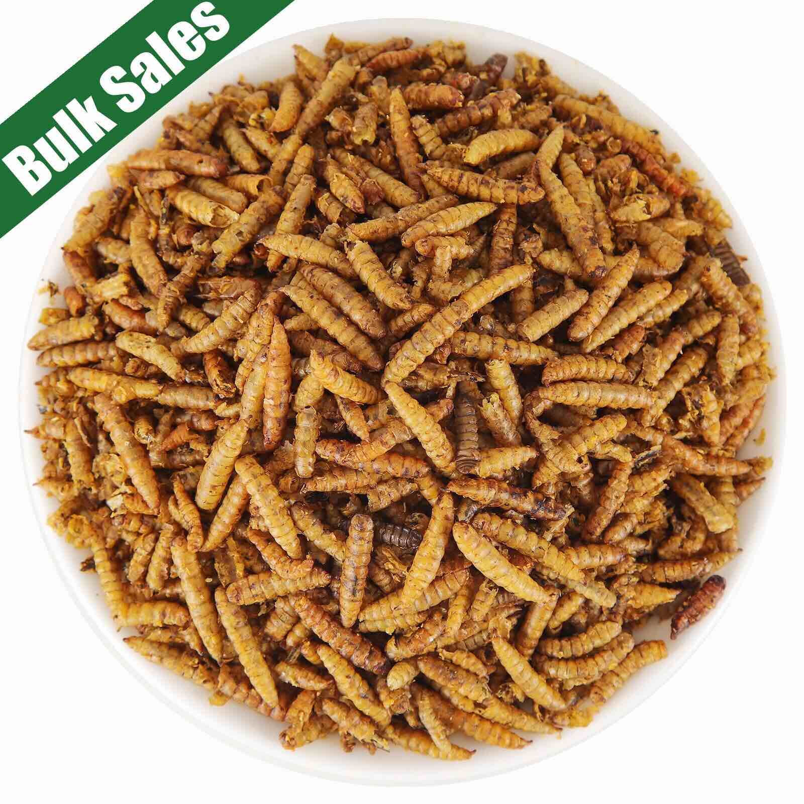 Lot BSF Bulk Dried Black Soldier Fly Larvae for Birds Ducks Chickens ...