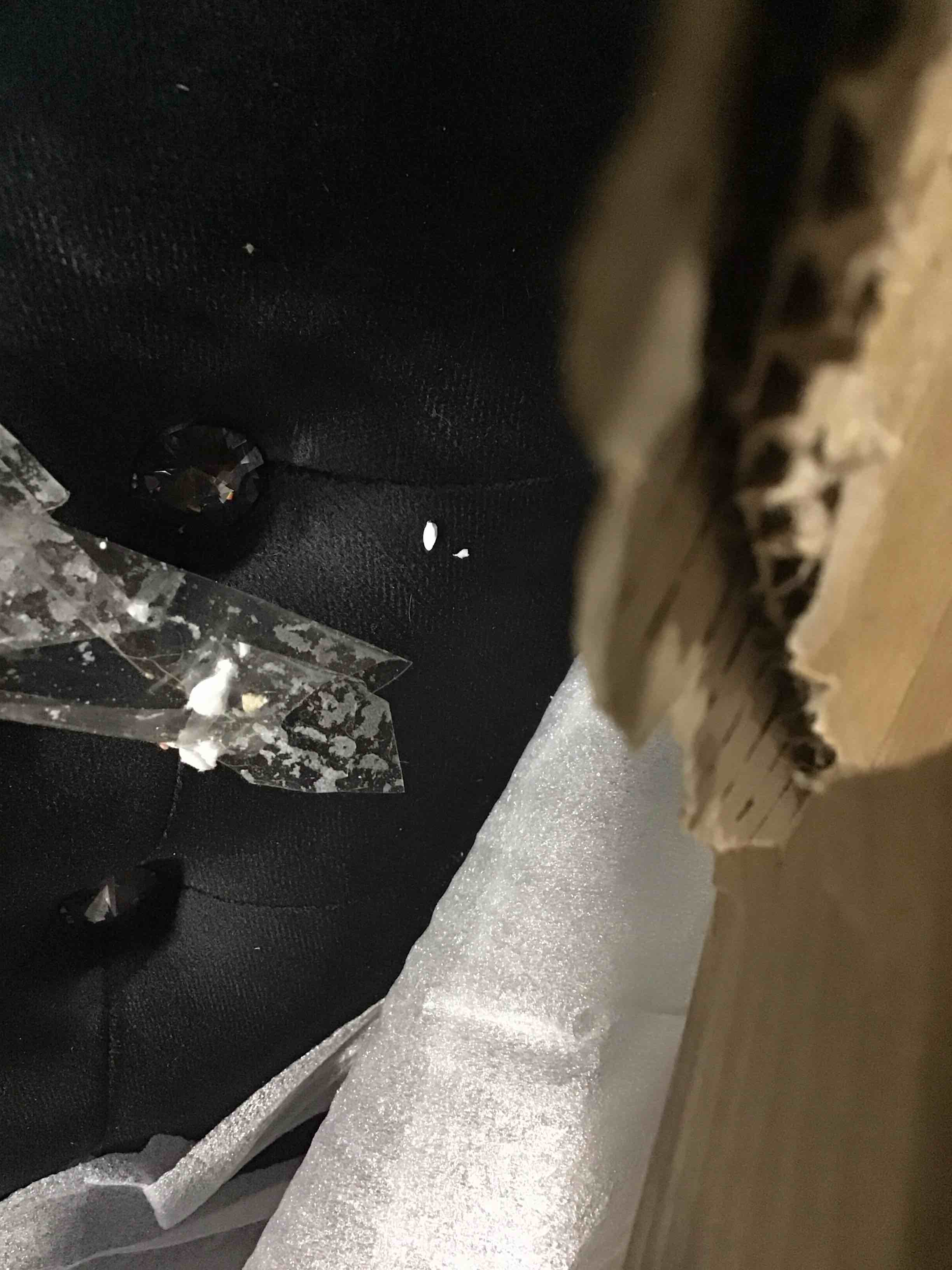 Dasher Upholstered Flip Top Storage Bench