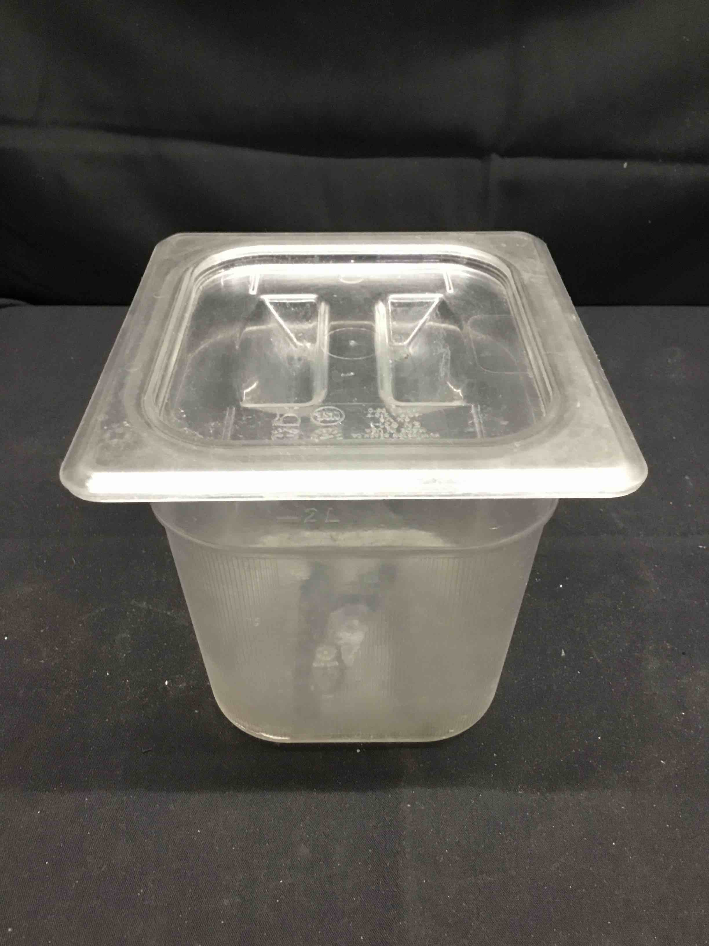 6 Inch Deep One Sixth Size Plastic Insert Pan With Lid
