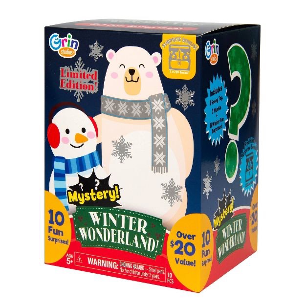Winter Holiday Mystery Toy Box