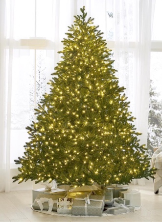 The World's Best Prelit LED Noble Fir