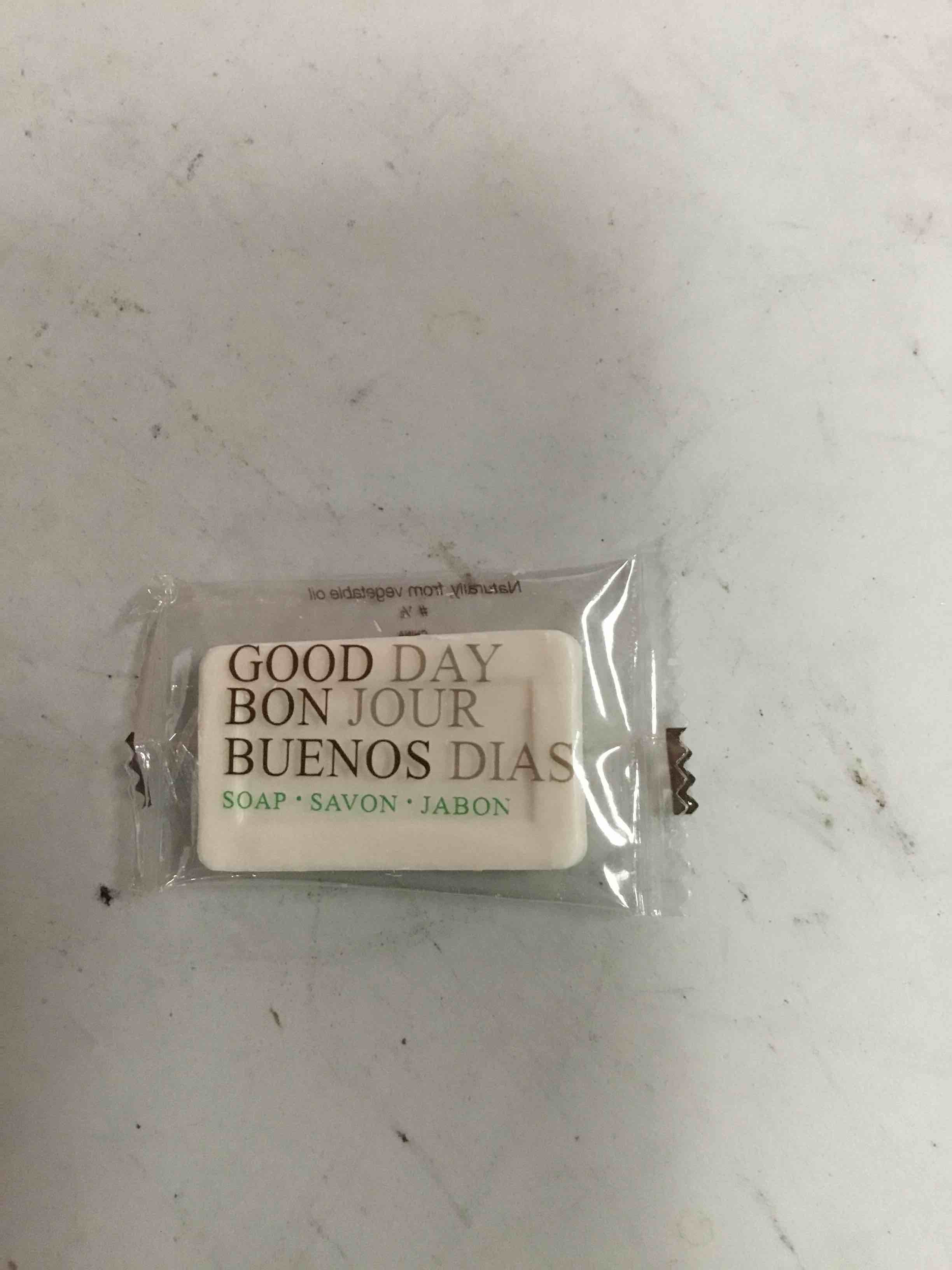 GOOD DAY SOAP 390050A Amenity Bar Soap, Pleasant Scent, 1/2 oz (Case of ...