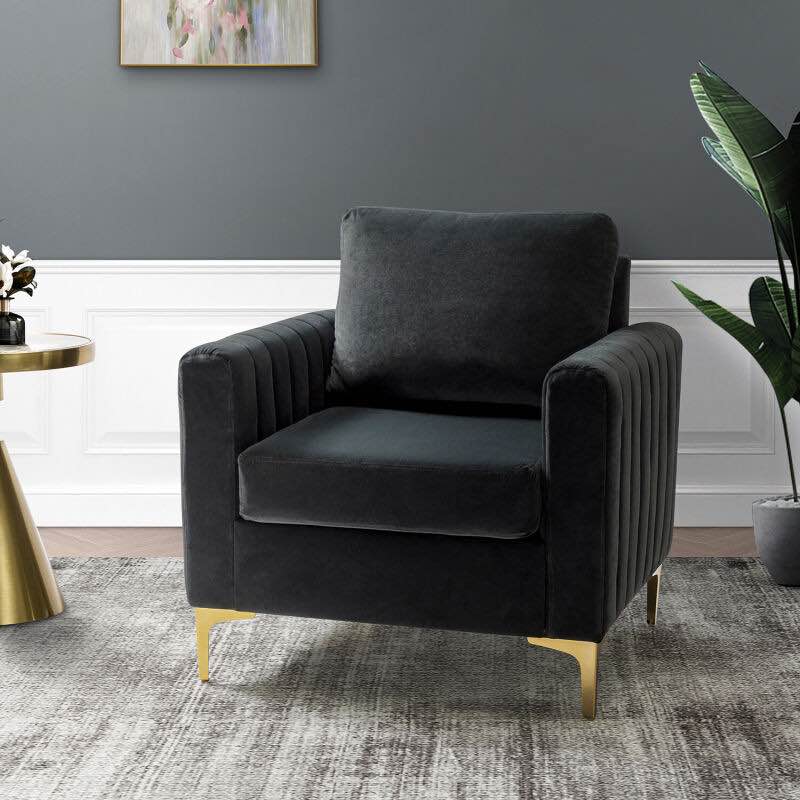 Cephisus Velvet Club Chair in Black