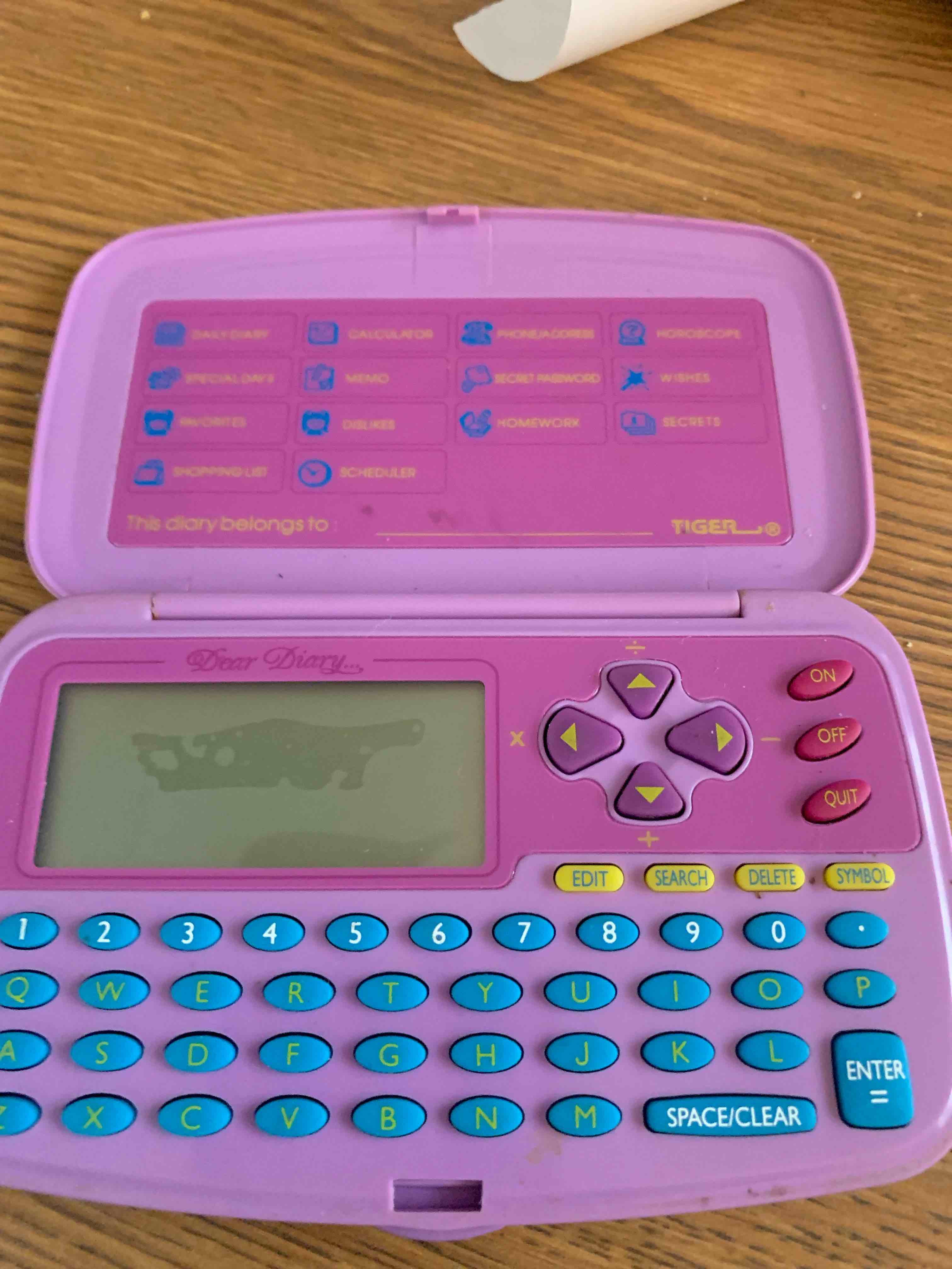 Dear Diary, Electronic Diary