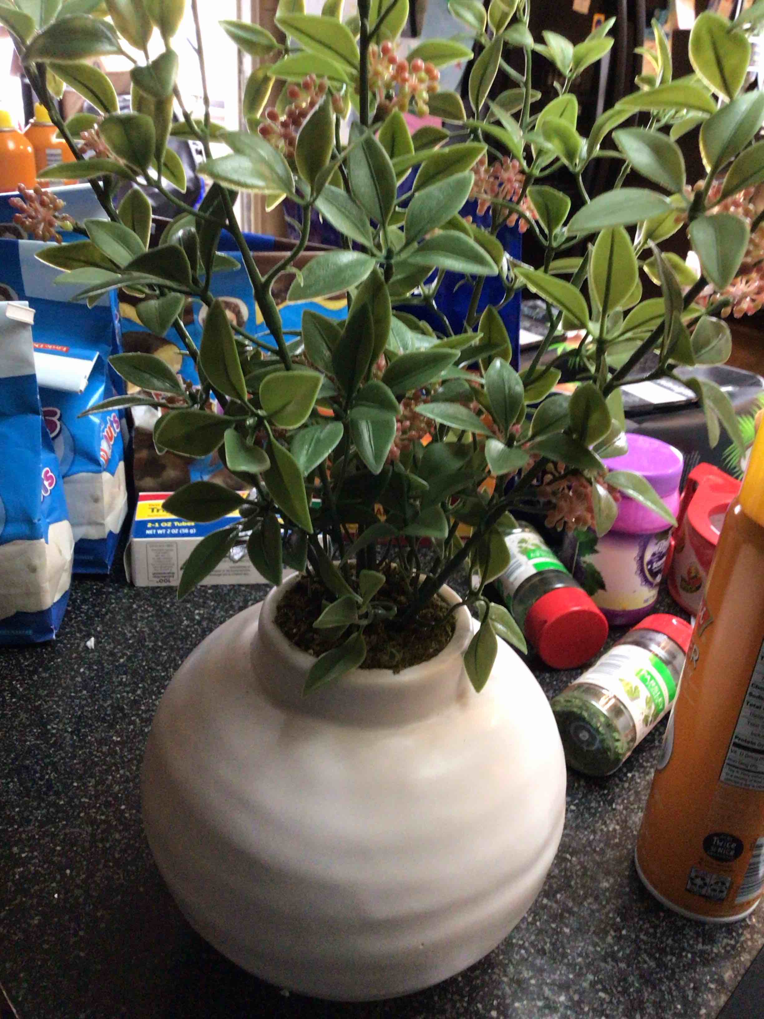 Threshold - Tabletop Arrangement