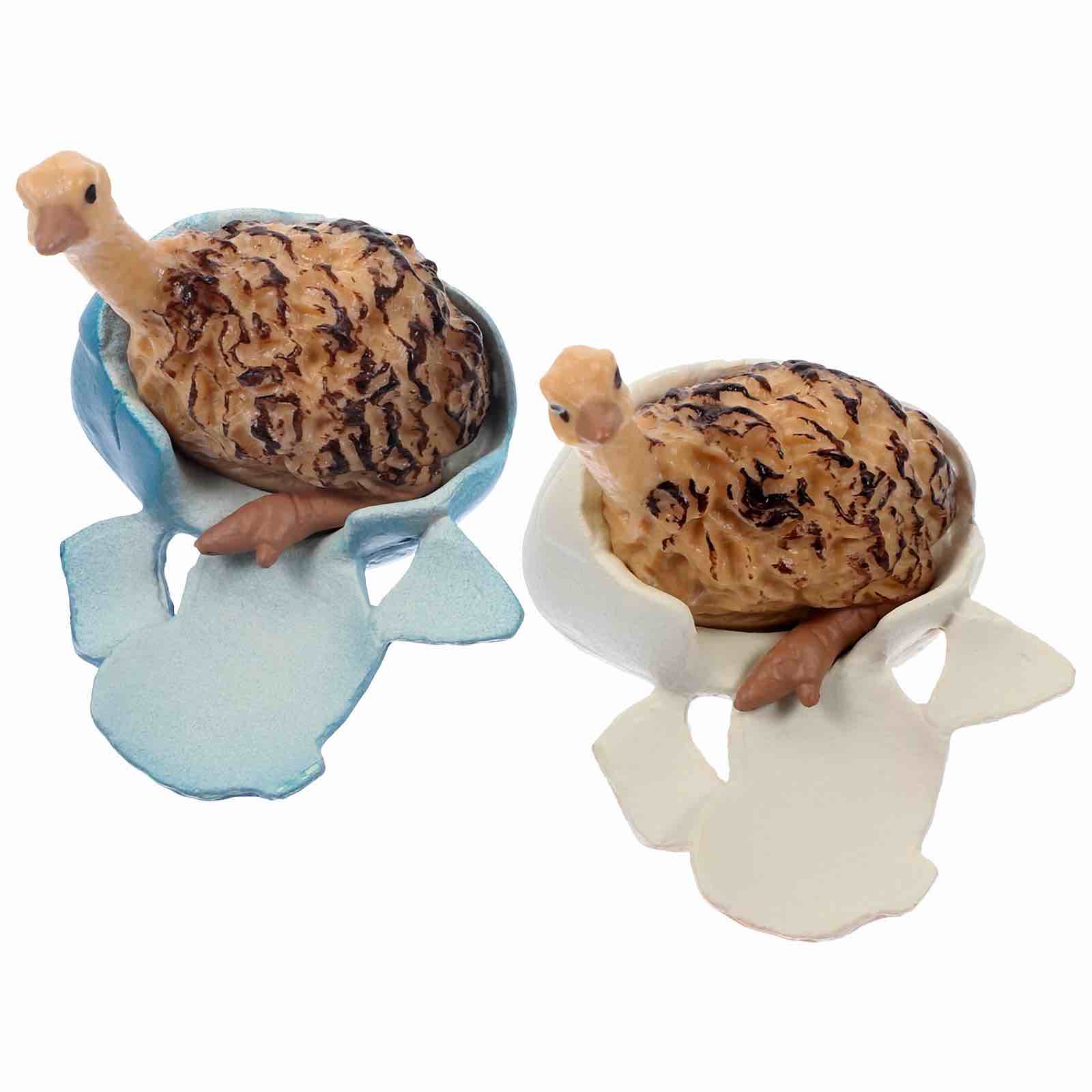 Wakauto 2 Pieces Toys Emu Ostrich Statue Toys Cognitive Animals ...