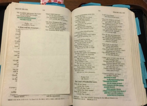 How the Worn Out, Written On, Wrinkled-up Pages of my Bible Reflect My Soul