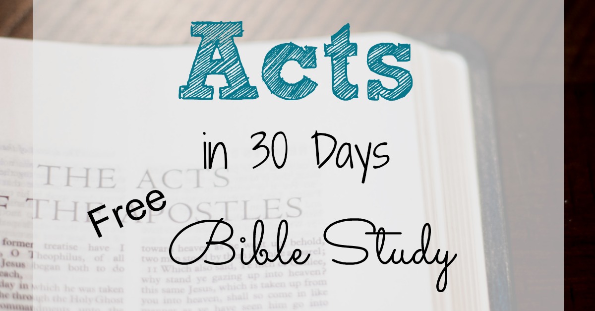 Acts in 30 Days Beginner's Bible Study and Reading Plan - A Loving Christ