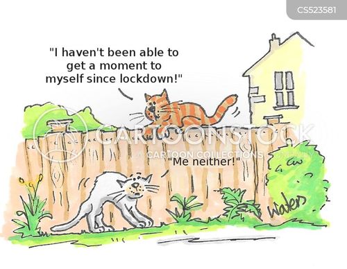 Releiving Isolation Cartoons and Comics - funny pictures from CartoonStock