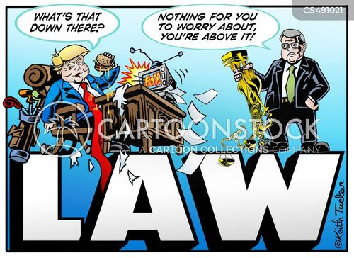 Muller Report Cartoons and Comics - funny pictures from CartoonStock