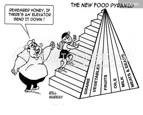 American Food Pyramid Cartoons and Comics - funny pictures from ...