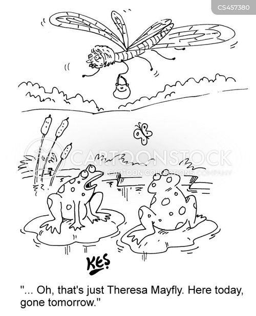 Dragonfly Cartoons and Comics - funny pictures from CartoonStock