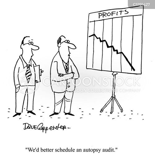 Funny Corporate Audit