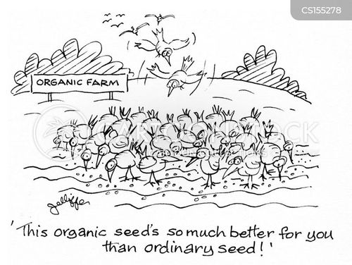 Sesame Seed Bagel Cartoons and Comics - funny pictures from CartoonStock