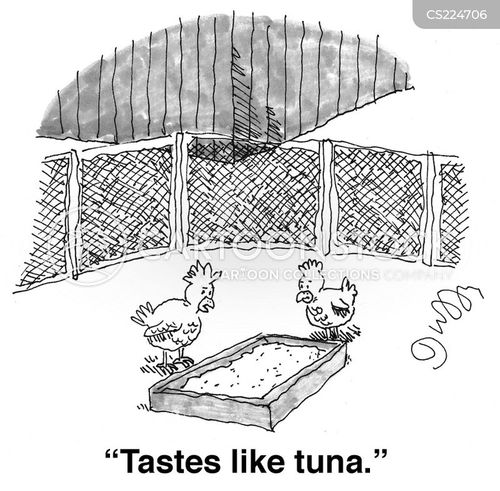 Chicken Flavor Cartoons and Comics - funny pictures from CartoonStock