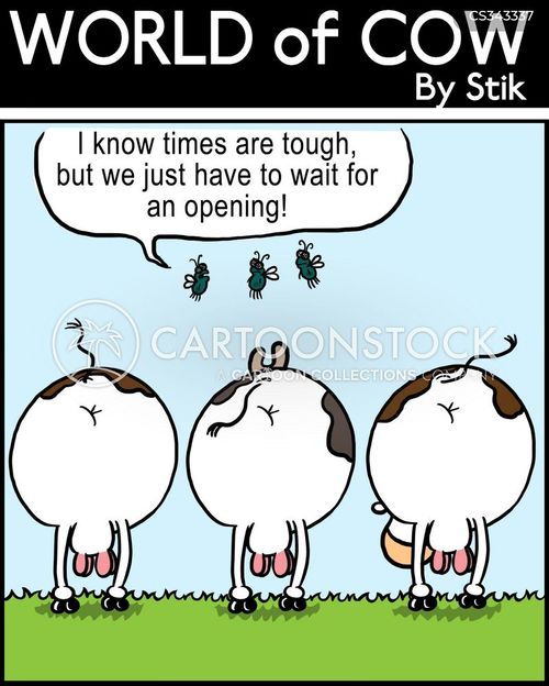 Open Fly Cartoons and Comics - funny pictures from CartoonStock