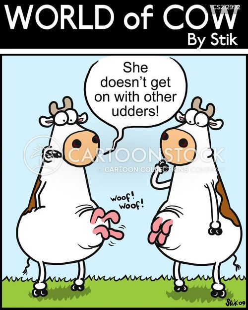 Cow's Udders Cartoons and Comics - funny pictures from CartoonStock