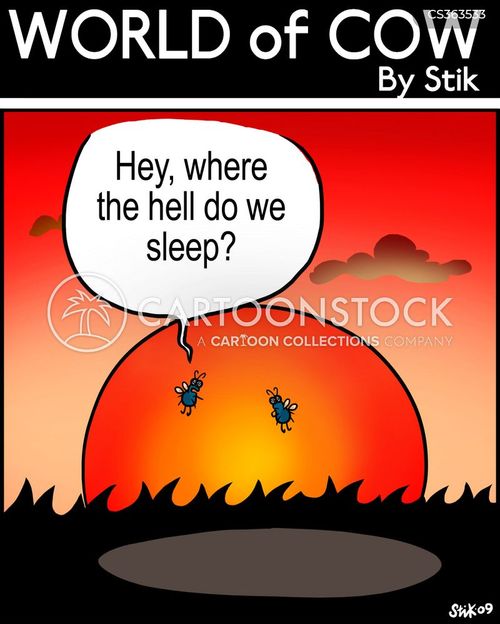 Sleep Spot Cartoons and Comics - funny pictures from CartoonStock