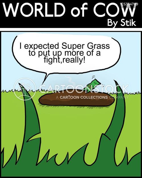 Supergrasses Cartoons and Comics - funny pictures from CartoonStock