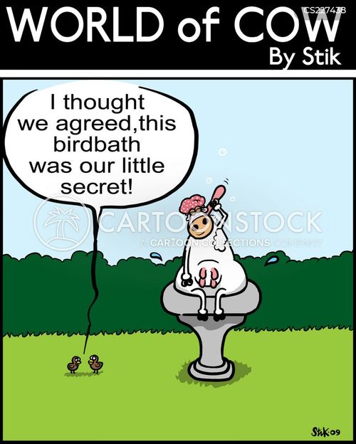 Birdbath Cartoons and Comics - funny pictures from CartoonStock