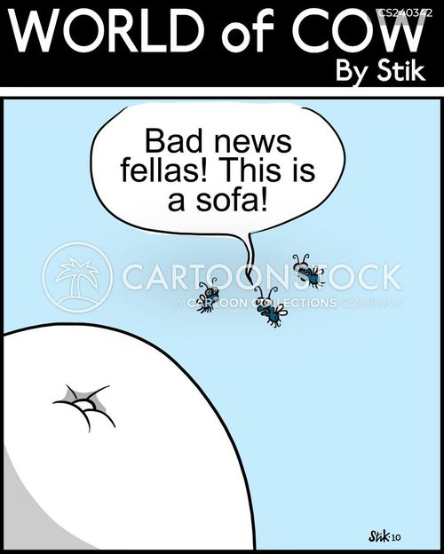 Cow Dung Cartoons and Comics - funny pictures from CartoonStock