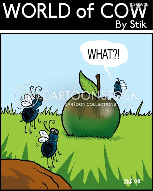 Farm Food Cartoons and Comics - funny pictures from CartoonStock