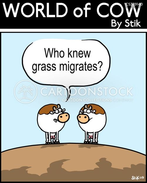 Grass Seed Cartoons and Comics - funny pictures from CartoonStock