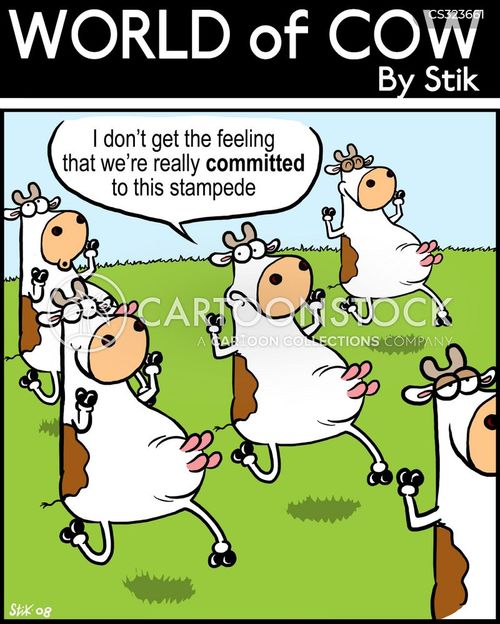 Stampeding Cartoons and Comics - funny pictures from CartoonStock