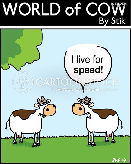 Speed Junkie Cartoons and Comics - funny pictures from CartoonStock