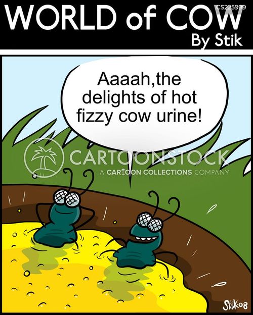 Jacuzzi Cartoons and Comics - funny pictures from CartoonStock